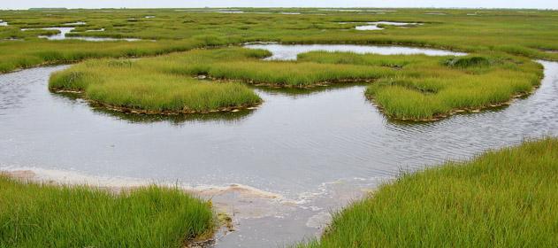 Environmental Biology Major | Department of Biology | Georgetown University