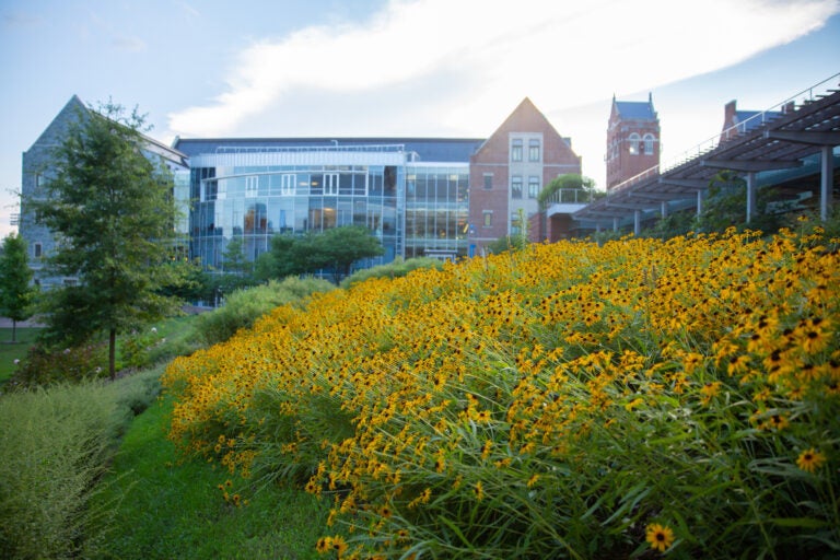 Degrees and Courses | Department of Biology | Georgetown University