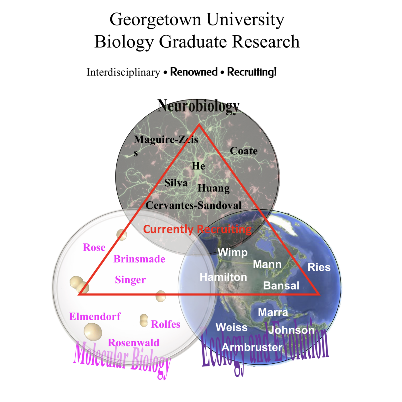 PhD Program in Biology | Department of Biology | Georgetown University
