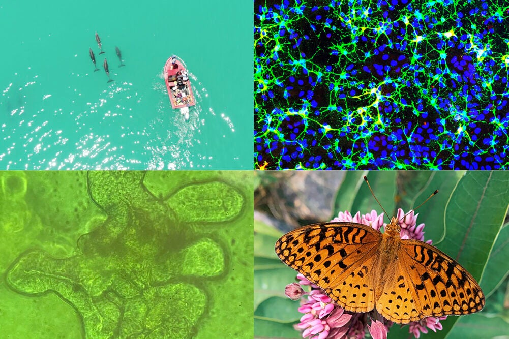 - Department of Biology