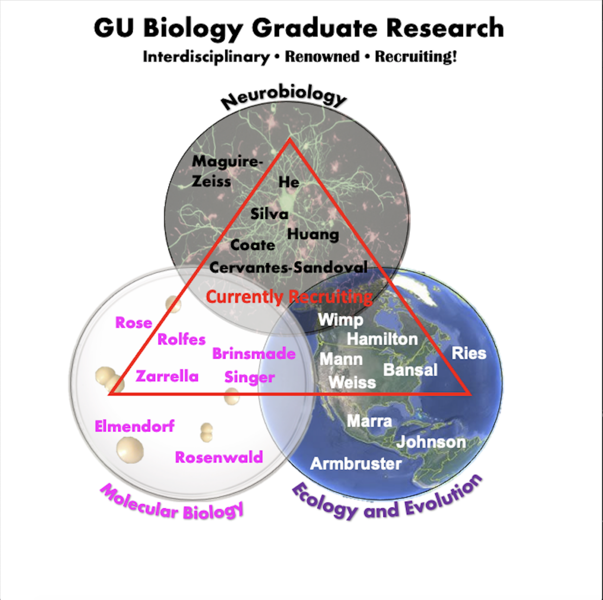 Biology Ph.D. Program | Georgetown University